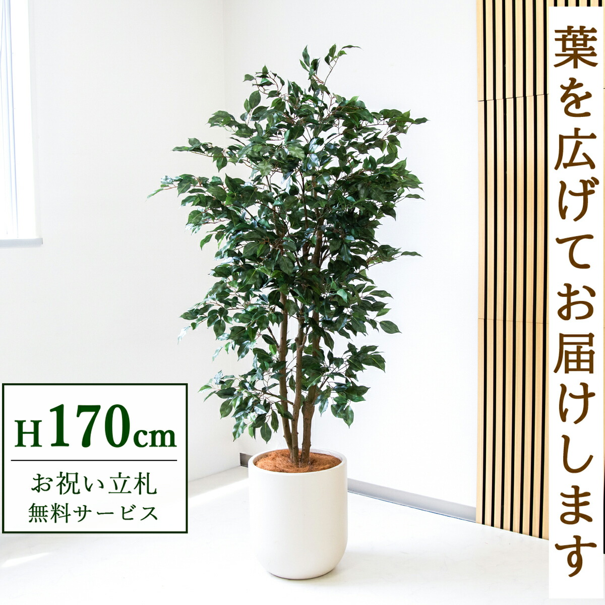 【楽天市場】フェイクグリーン ベンジャミン H約170cm 鉢付き / 人工観葉植物 観葉植物 フェイク 造花 大型 大きい 店舗 装飾 開店 開業 移転 祝い ギフト プレゼント おしゃれ ...