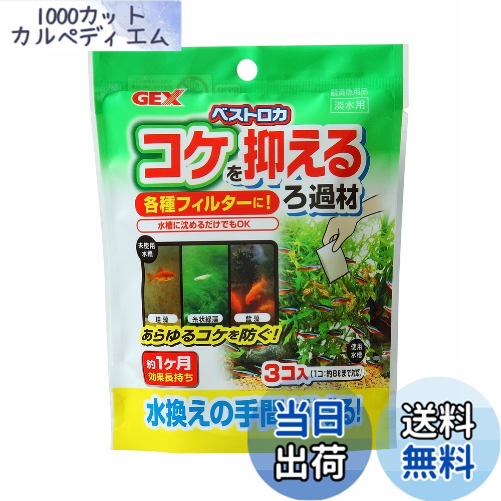 【楽天市場】ジェックス GEX ベストロカ コケを抑えるろ過材 20g×3個：1000カットカルペディエム