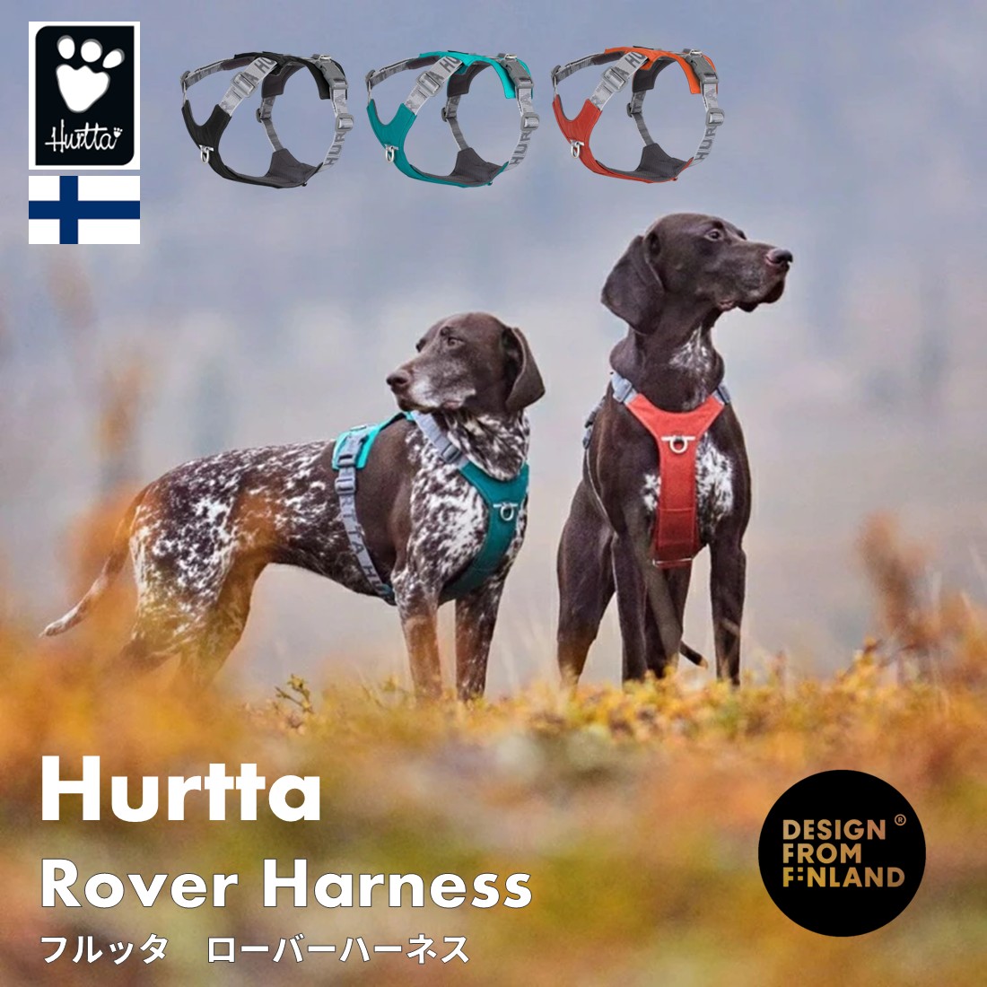 【楽天市場】フィンランドのドッグブランド【Hurtta】【フルッタ】・ローバーハーネス：1stDogCafe