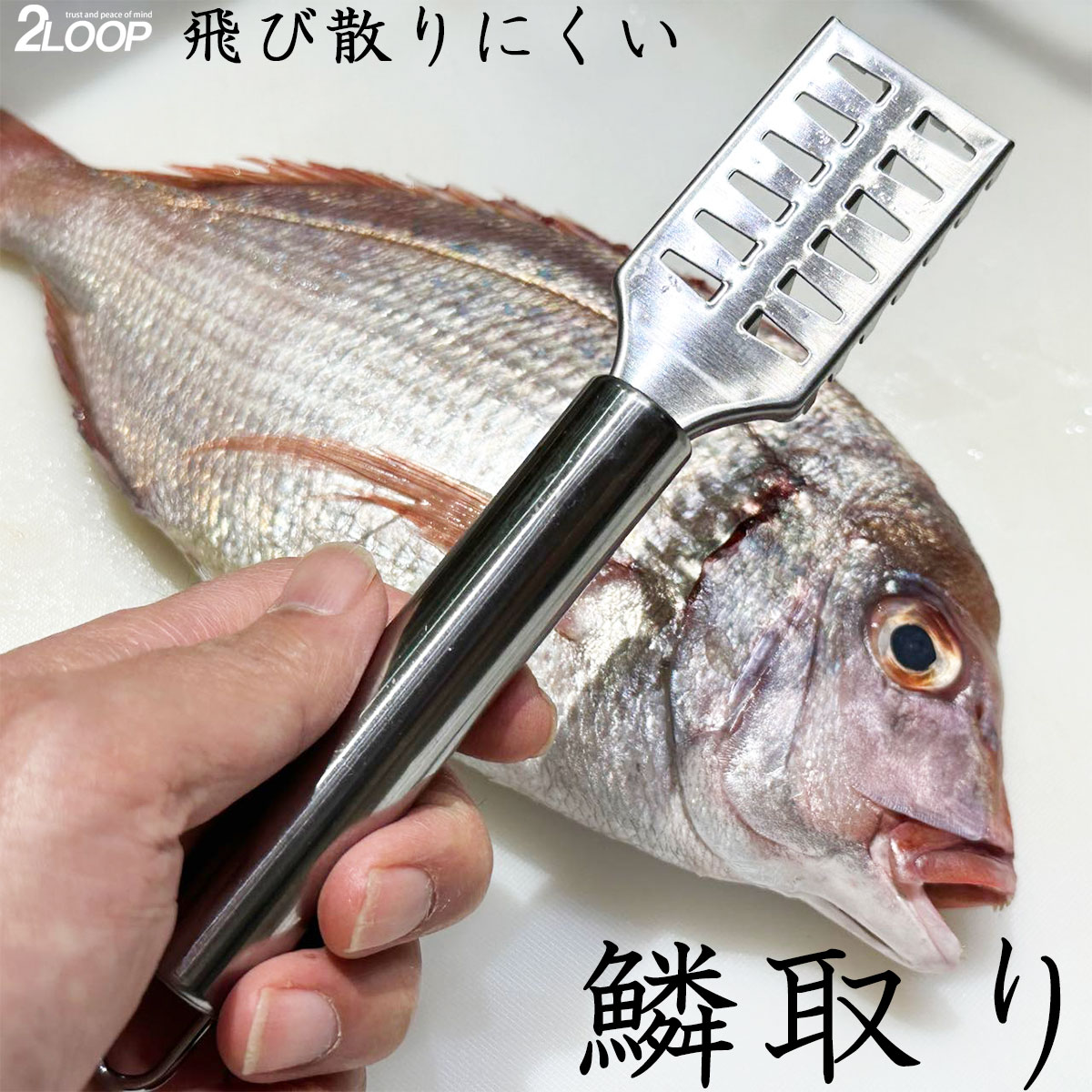 【楽天市場】すっきり うろこ取り ステンレス 飛び散りにくい構造 魚 料理 捌く 際に 鱗 ウロコ 除去 台所用品 キッチン用品 船 上で：2LOOP