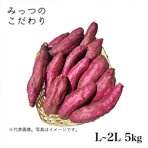 【楽天市場】国産 さつまいも L～2L 5kg＊ランク A【 】B【 】C【〇】サイズ混み サツマイモ 焼きいも スイートポテト 大学いも 新鮮 野菜 ベジタブル お取り寄せ まとめ買い：みっ ...