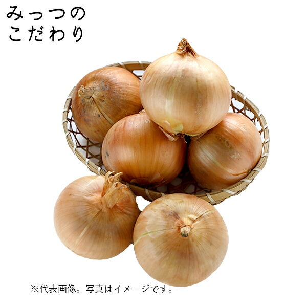 【楽天市場】国産 たまねぎ L～2L 5kg＊ランク A【 】B【〇】C【 】玉葱 玉ねぎ オニオン 新鮮 野菜 ベジタブル お取り寄せ まとめ買い：みっつのこだわり