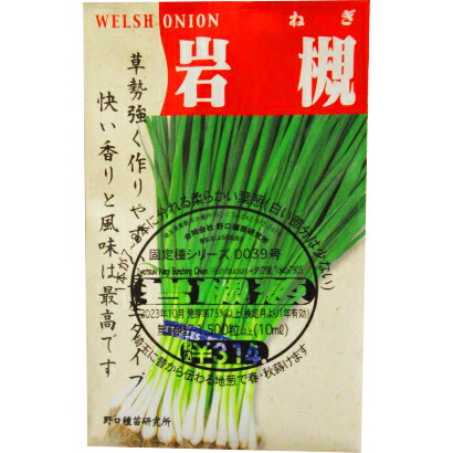 【楽天市場】岩槻葱 いわつきねぎ Iwatsuki Negi Bunching Onion / ヒガンバナ科 Allium ...
