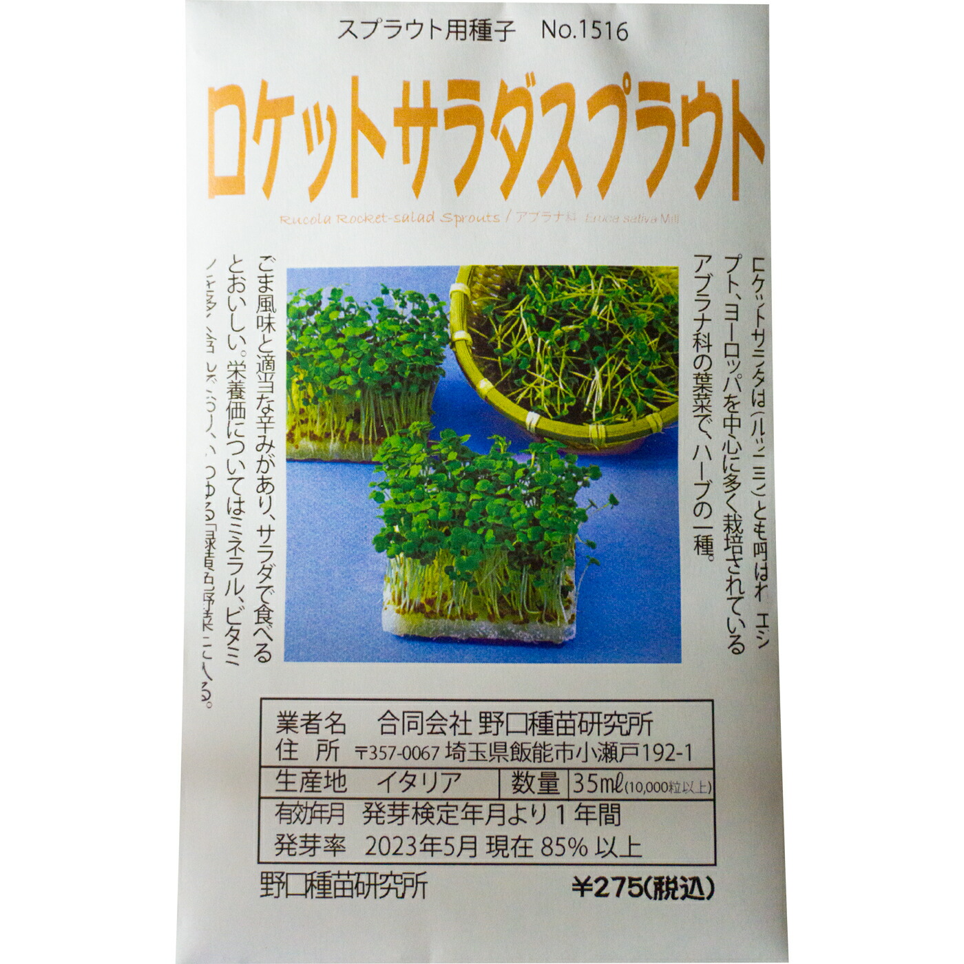 【楽天市場】ロケットサラダスプラウト （ルッコラの芽） Rocket Sprouts / アブラナ科 Eruca sativa ハーブの種 ...