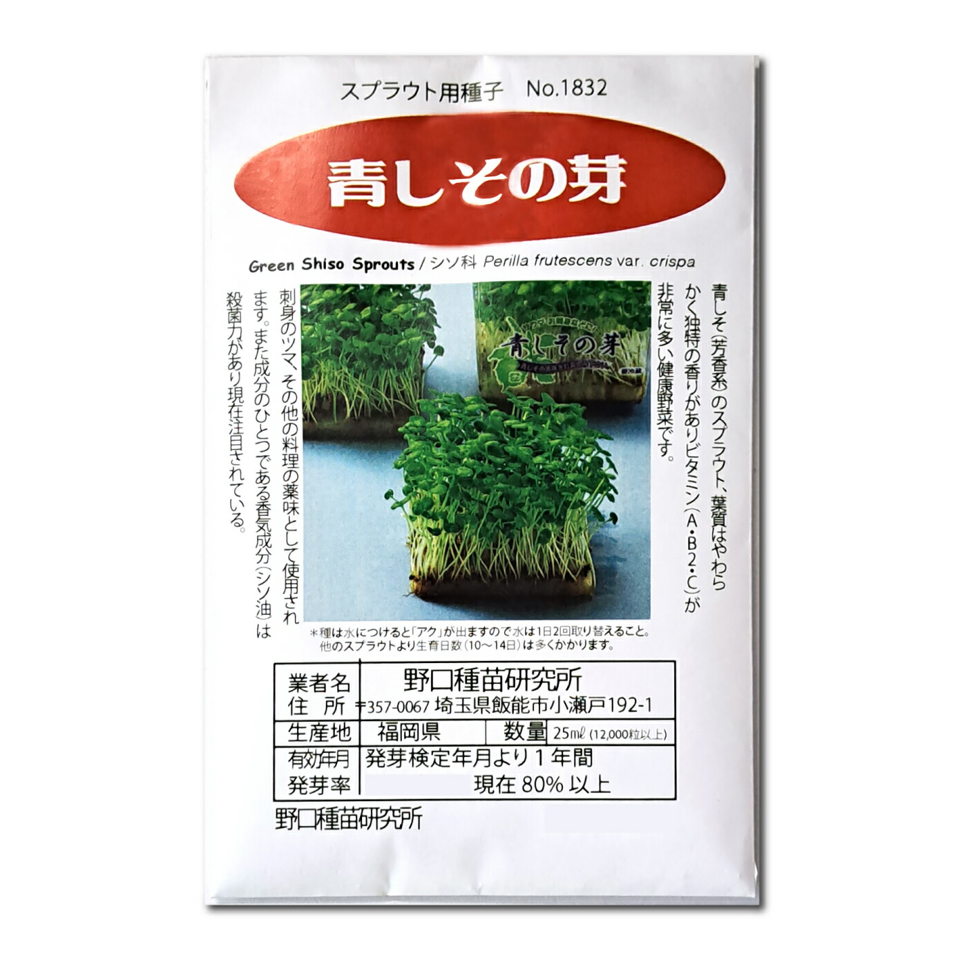 【楽天市場】青しその芽スプラウト 国内採種品 Green Shiso Sprouts / シソ科 Perilla frutescens var ...