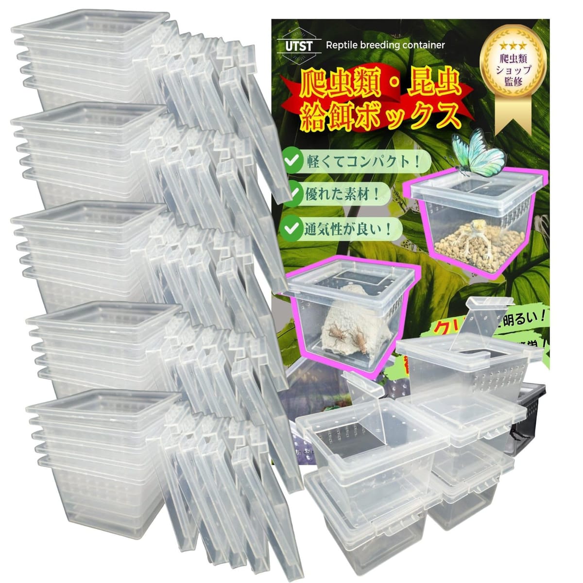 【楽天市場】UTST 昆虫飼育ケース 小型 コンテナ ボックス 空気穴付き プラスチック製 昆虫 小動物・卵 幼虫 繁殖：Web shop 8tail