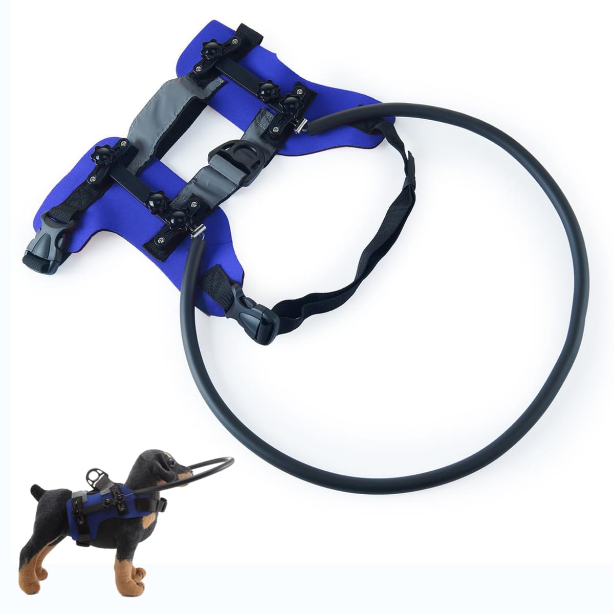 【楽天市場】COZENTA 盲目 リング 犬 追突防止 安全保護 ハーネス：Web shop 8tail