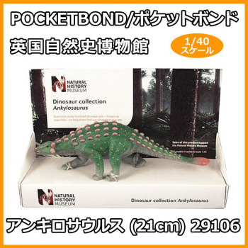 【楽天市場】\今だけ全品ポイント5倍／ POCKETBOND/ポケットボンド 英国自然史博物館 アンキロサウルス (21cm) 29106 ...