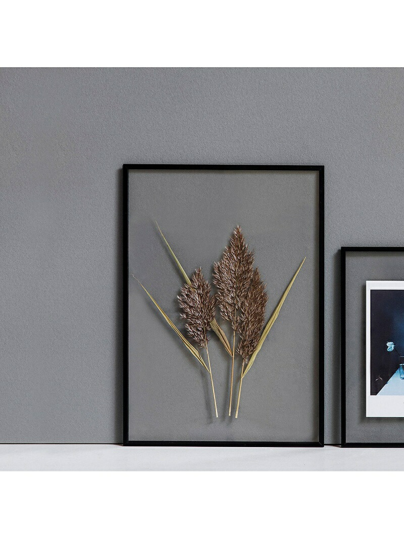 【楽天市場】【MOEBE/ムーベ】フレーム A3 collex コレックス インテリア・生活雑貨 その他のインテリア・生活雑貨 ブラック ホワイト【送料無料】[Rakuten Fashion ...