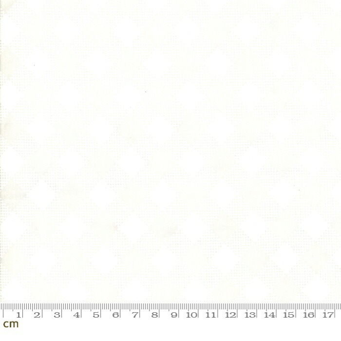 【楽天市場】【Moda モダ】Merry Starts Here-5734-24(2D-05) ホワイト系 白色 チェック柄 ラッカープリント ...