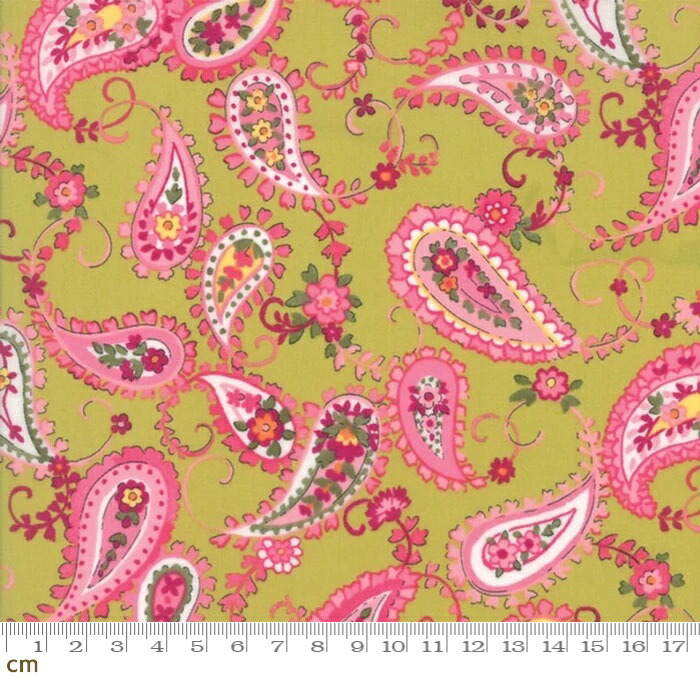 【楽天市場】【Moda モダ】Regent Street Lawns 2016-33191-15(ローン生地)(2C-03) イエロー系 ...