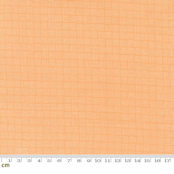 【楽天市場】【Moda モダ】Simply Delightful-37645-12(2B-01) オレンジ系 格子柄 バスケット柄 ポップ ...
