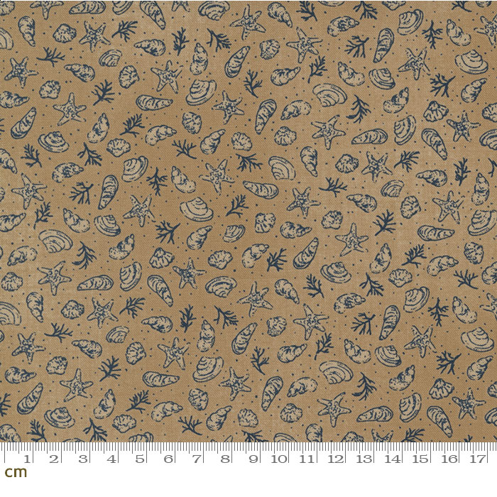 【楽天市場】【クーポン最大500円OFF！】To The Sea-16931-21(2C-02) ブラウン 海 貝殻 ノスタルジック コットン ...