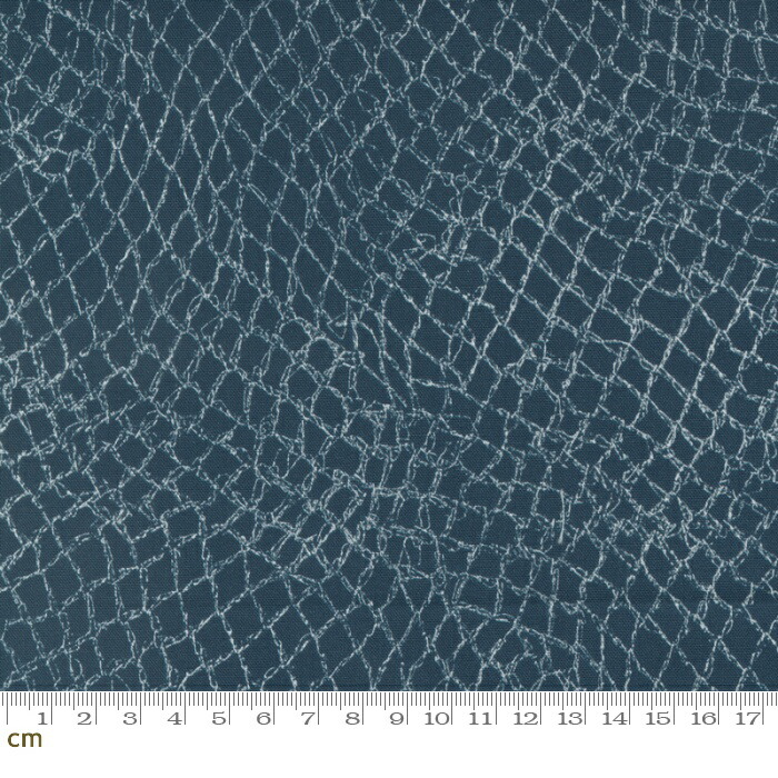 【楽天市場】【Moda モダ】Longshore-24613-17(2A-05) ブルー系 アイテム柄 網目模様 ネットパターン テクスチャ柄 ...