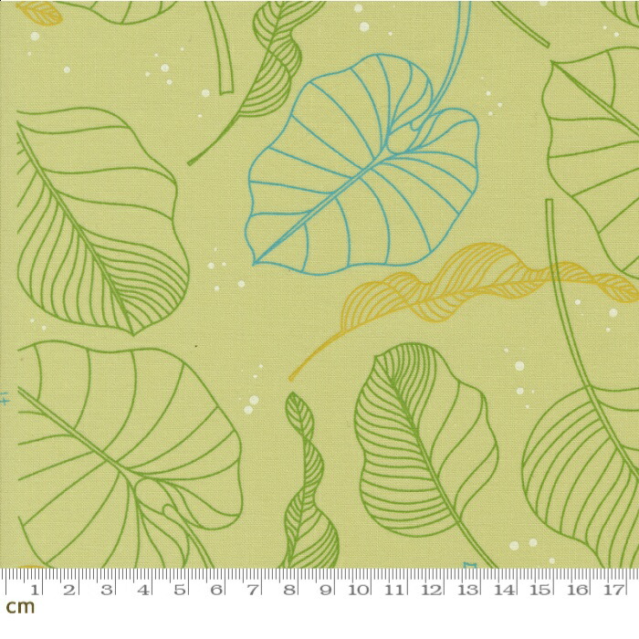 【楽天市場】【Moda モダ】Olive You-1880-17(2B-07) リーフ柄 葉っぱ 植物柄 オリーブグリーン コットン100% ...