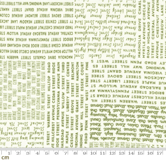【楽天市場】【Moda モダ】Main Street-55641-13(2A-06) ホワイト系 グリーン系 英字柄 テキスト コットン100 ...