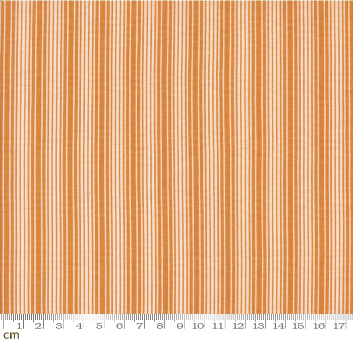 【楽天市場】【Moda モダ】Pumpkin Spice Gatherings-49298-14(3A-01) 細め ストライプ ライン柄 ...