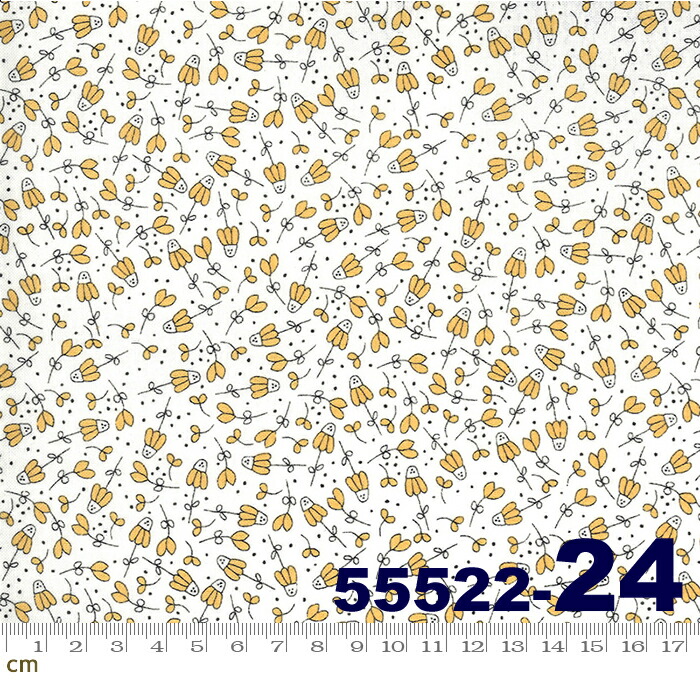 【楽天市場】【Moda モダ】Spring Chicken-55522-24(2E-04) ホワイト系 イエロー系 コットン100% ...