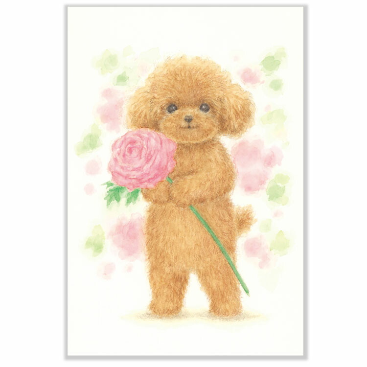 【楽天市場】動物と花束ポストカード H04-PZ-82：アクティブコーポレーション