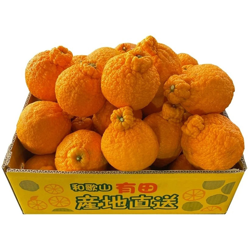 【楽天市場】不知火 ご家庭用 約5kg 約10玉～約15玉 紀州 和歌山県産 【ありだ】：JA和歌山県農JOIN楽天市場店