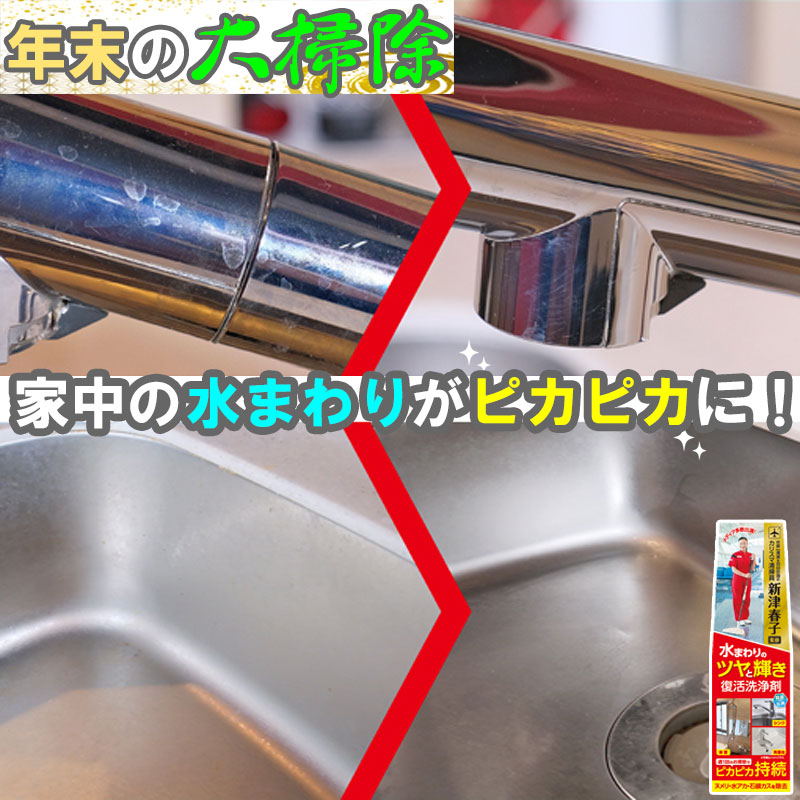 【楽天市場】アイオン 水まわりのツヤと輝き復活洗浄剤 175-W：AION SuiSui生活