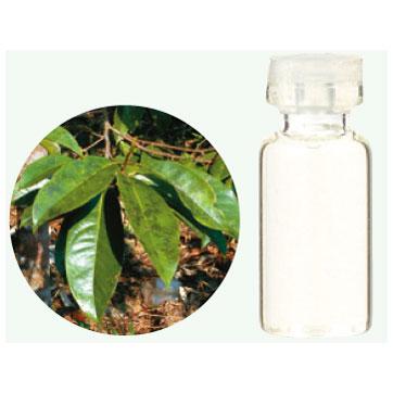 【楽天市場】RRR01 (生活の木)オーガニック(有機)エッセンシャルオイルローズウッド(葉) 3ml：ラララカフェ