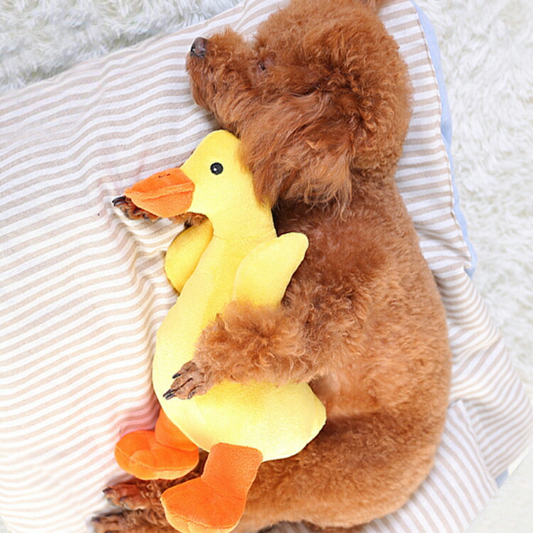 【楽天市場】1000円ポッキリ 犬 おもちゃ 壊れにくい 大型犬 中型犬 小型犬 ぬいぐるみ 丈夫 音が出る ストレス解消 運動不足 犬用 ...