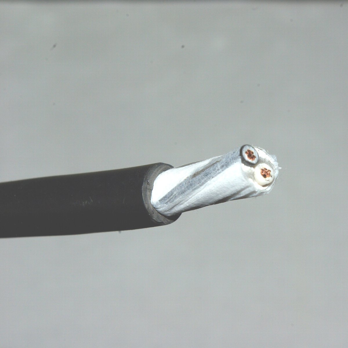 【楽天市場】CVV 2SQ2心 1m単位 切断販売 第一種電気工事士 技能試験用 電線：秋葉原の九州電気 楽天市場店