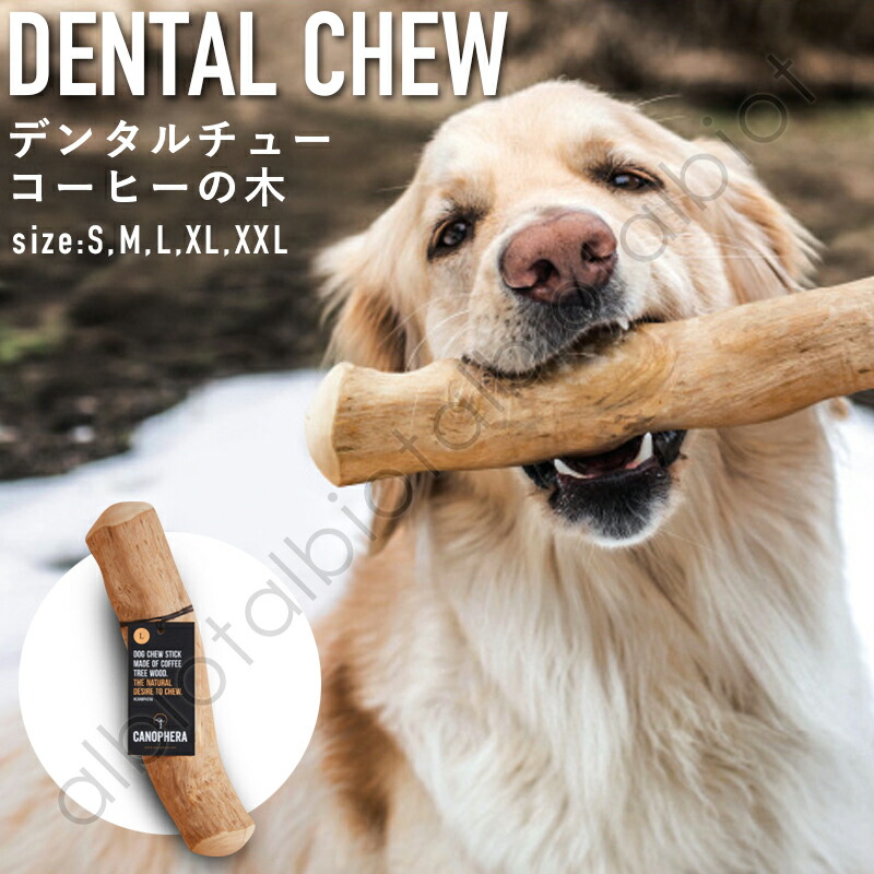 【楽天市場】【エントリーで更にポイント5倍！】CANOPHERA キャノフィラ デンタルチュー コーヒーの木：albiot
