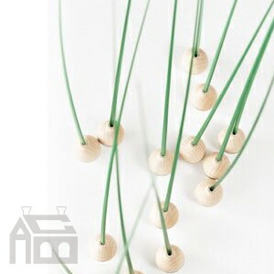 【楽天市場】プラスディー +d KUSA クサ オブジェ：ALPHA Market