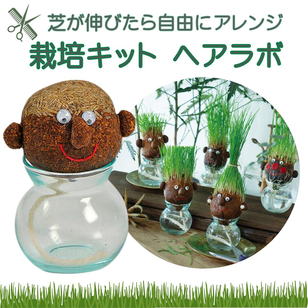 【楽天市場】【最短翌日配送可】ヘアラボ 栽培キット 観葉植物 hair LABO ラウンド スマート パパ ママ キッズ 水耕栽培キット ...