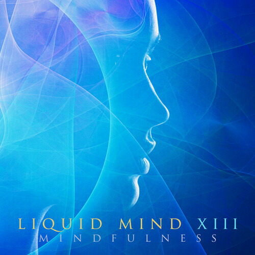 【楽天市場】【輸入盤CD】【新品】Liquid Mind / Liquid Mind XIII: Mindfulness【K2020/5/29 ...