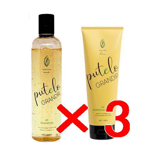 【楽天市場】★【送料無料】【正規品】プテロ putelo ／ グランディール シャンプー 300ml ＋ グランディール ヘア＆スカルプパック 240ml 【3セット】：amugis