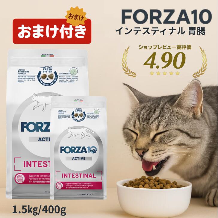 【楽天市場】【マラソン☆15%OFFクーポン】 フォルツァ10 キャットフード 400g 1.5kg インテスティナル アクティブ キャット FORZA10 リニューアル 猫 グレインフリー ...