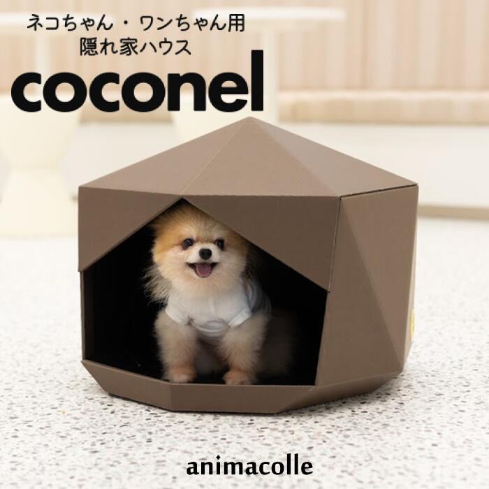 【楽天市場】【animacolle coconel クリ】公式 送料無料 犬ベッド 猫ベッド インテリア ペットベッド ダンボール かわいい ...