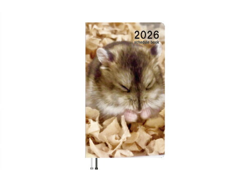 【楽天市場】【予約販売】 カワウソ ATY 2025年 卓上半面 カレンダー TC25361：ANISTAR