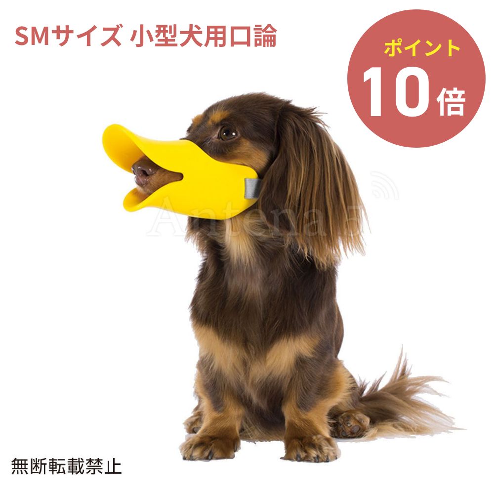 【楽天市場】《全3色》OPPO クァック SMサイズ quack size sm【拾い食い 無駄吠え 噛み デザイン雑貨 噛み癖 噛みつき防止 ...