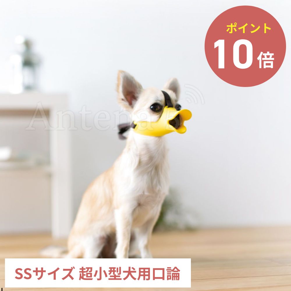 【楽天市場】《全3色》OPPO クァック SSサイズ quack size ss【拾い食い 無駄吠え 噛み デザイン雑貨 噛み癖 噛みつき防止 ...