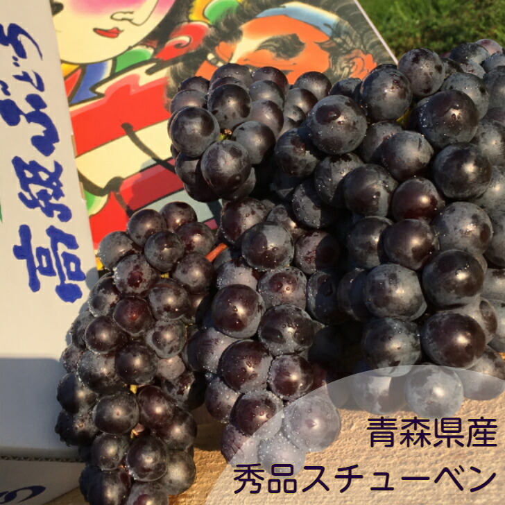 【楽天市場】 送料無料 スチューベン 秀品 青森県産 ぶどう 2kg（6～9房）【お歳暮・お年賀・ギフト・贈答・お礼・お返し・プレゼント ...