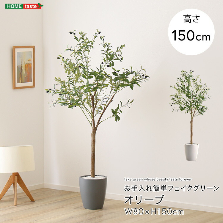 【楽天市場】お手入れ簡単フェイクグリーン オリーブ Mサイズ(150cm) オフィス リアル 大型 壁 おすすめ 風水 おしゃれ 緑 インテリア リビング：apude 楽天市場店