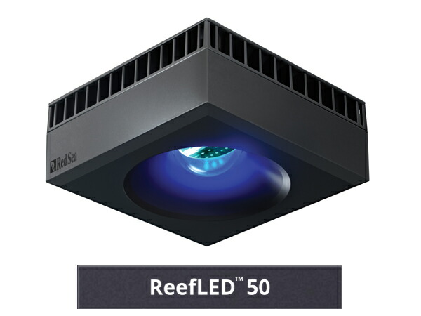 【楽天市場】Red Sea REEF LED 50：アクアテイラーズ 楽天市場支店