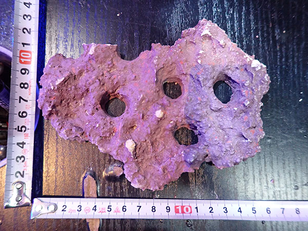 【楽天市場】Frag専用プレート JS Frag Rock No.22：アクアテイラーズ 楽天市場支店