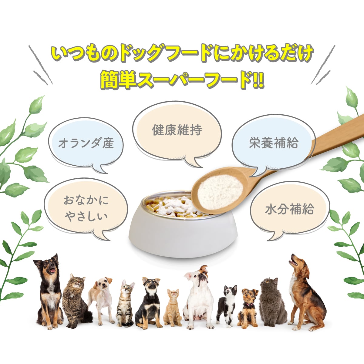 【楽天市場】[正規品]【wancom】tasty!天使のヤギミルク 150g≪4580414210746≫ ヤギミルク やぎミルク ペット ペットフード ドッグフード ドックフード キャット ...