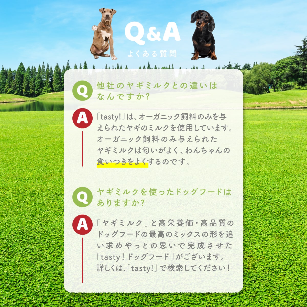 【楽天市場】[正規品]【wancom】tasty!天使のヤギミルク 150g≪4580414210746≫ ヤギミルク やぎミルク ペット ペットフード ドッグフード ドックフード キャット ...