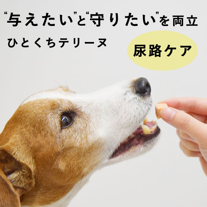 【楽天市場】【割引クーポン配布中】犬 おやつ とっておきのひとくちテリーヌ 尿路ケア 100g【ハウンドカム食堂】犬 泌尿器 尿路ケア 尿路結石 水分補給 手作りごはん ※ストルバイト結石 ...