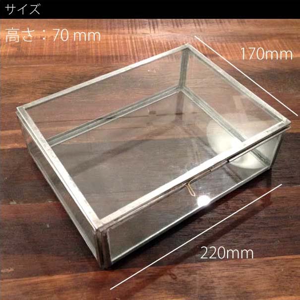 【楽天市場】nkuku oni box(S) オニボックス Sサイズ ガラス コレクション コレクションボックス 小物入れ アクセサリー ...