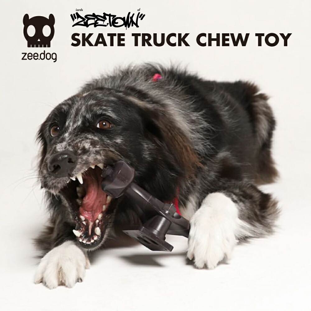 【楽天市場】【zee.dog official web store】 ZEE.TOWN SKATE TRUCK CHEW TOY 犬 ペット ...