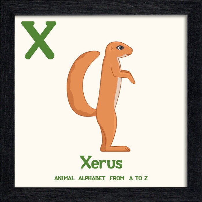 【楽天市場】アニマルアルファベット Animal Alphabet Xerus 200x200x53mm ZAA-53231 bic ...