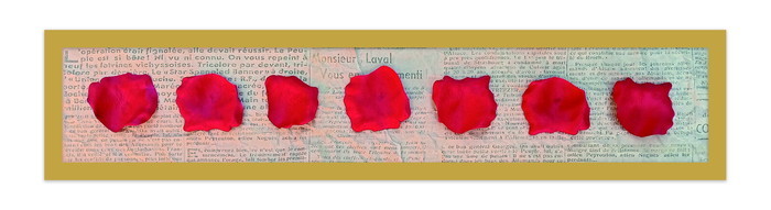 【楽天市場】レクタングルアートL ペタレス・ド・ローズ・ルージュ Petales de rose Rouge RP-2001NA フレーム ...