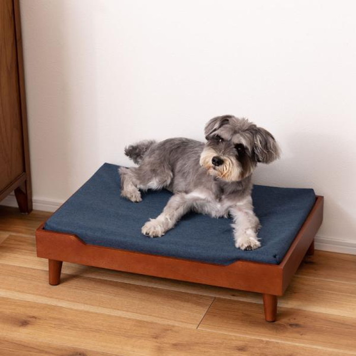 【楽天市場】ペットベッド ブラウン ナチュラル W60×D40×H15 店舗 カフェ ラウンジ ロビー ホテル 法人 azu-pet-121 ...